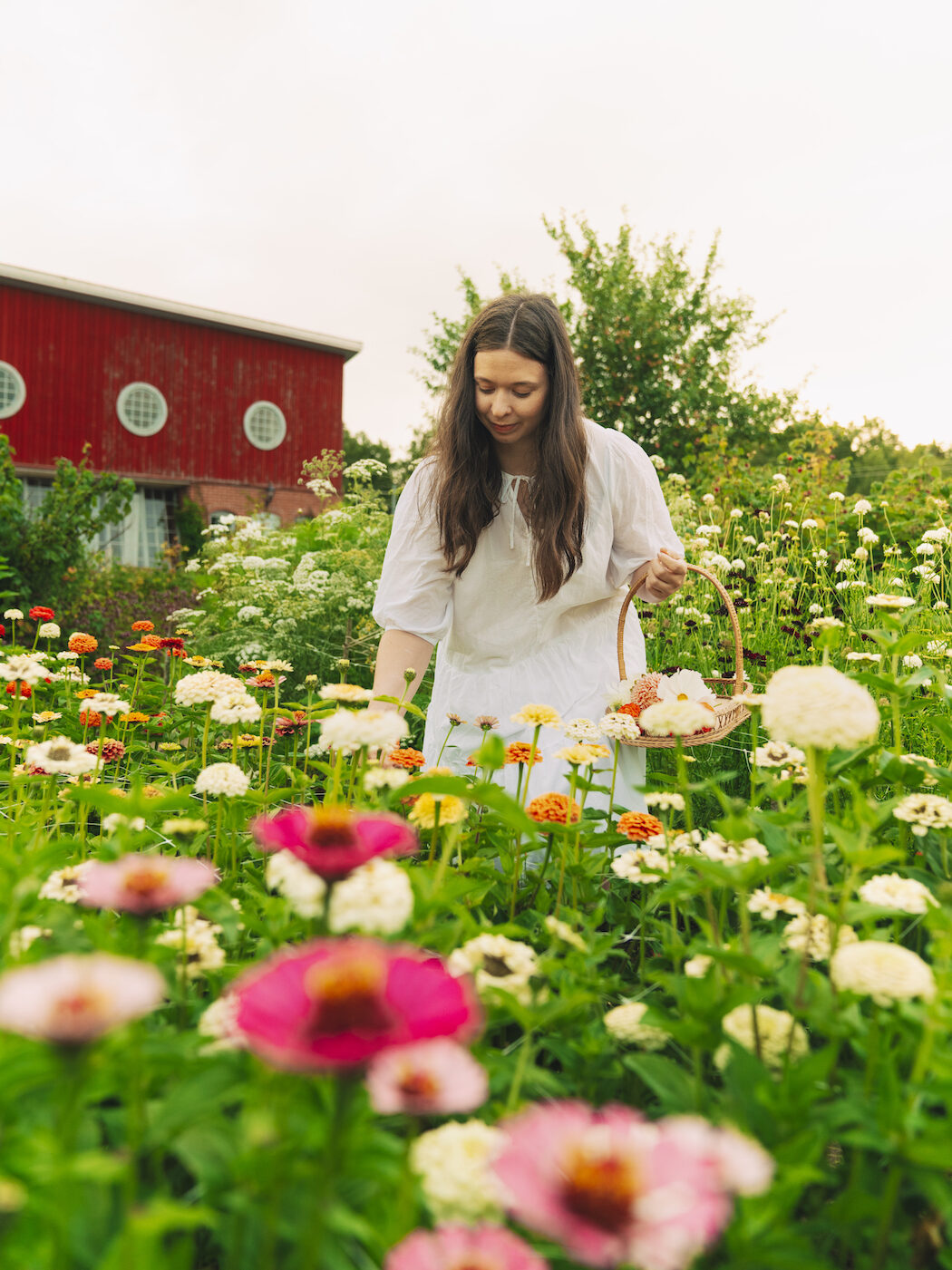 Slow Flower Garden: From 0 to 50K Organic Traffic per Month in One Year